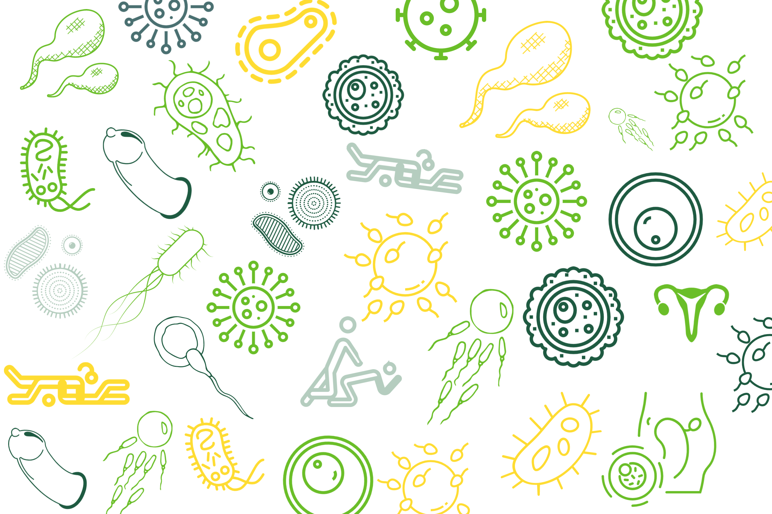 Seksitautien rooli hedelmällisyydessä | Hyväkysymys.fi